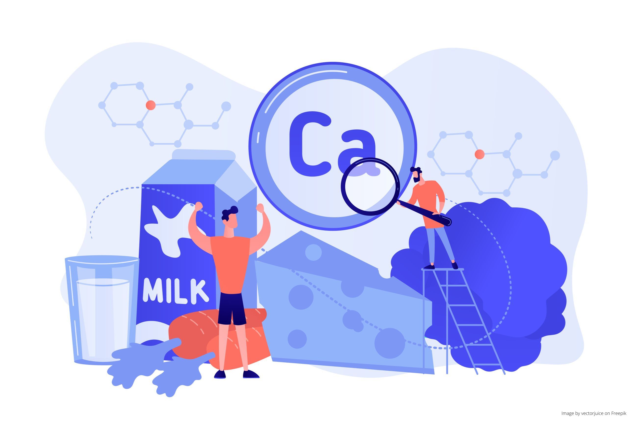 Calcium in the human body - why is it so important?